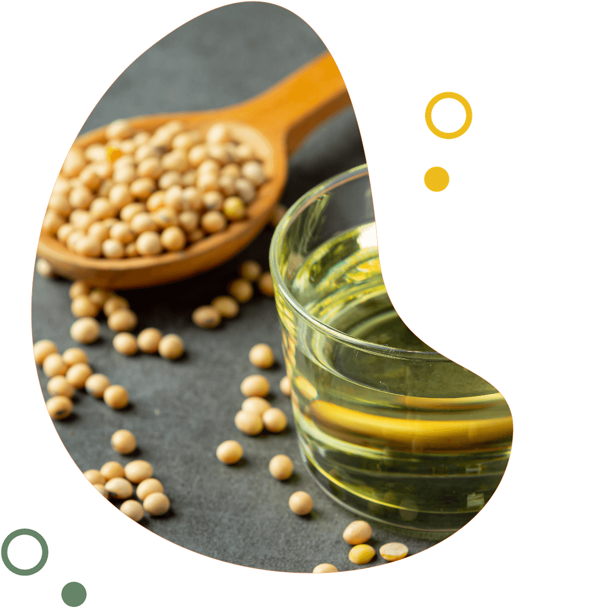 GMO – ProGnosis Biotech